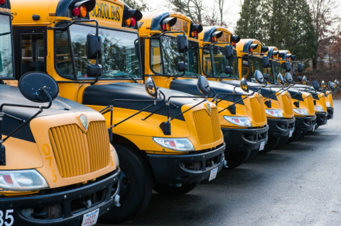 Local Motion of Boston's Guide to Student Transportation Safety on ...